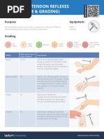 Hand - Extensor Tendon Repair Protocol PT (All) | PDF | Thumb | Hand