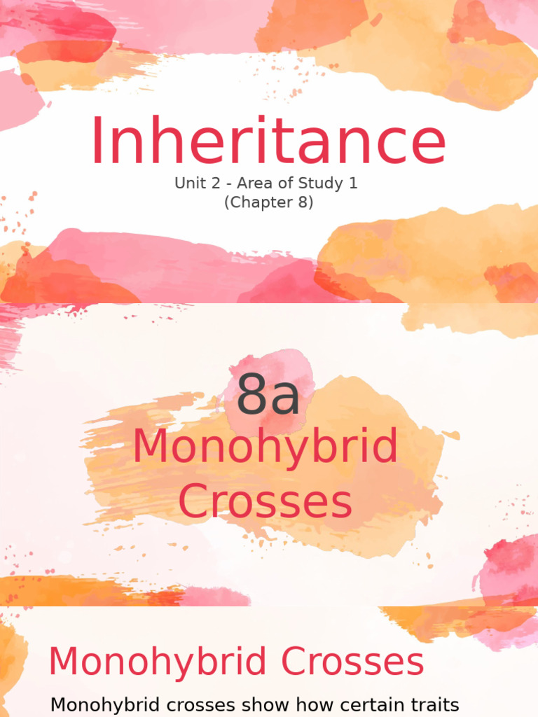 Unit 2 AOS 1 Inheritance | PDF | Dominance (Genetics) | Zygosity