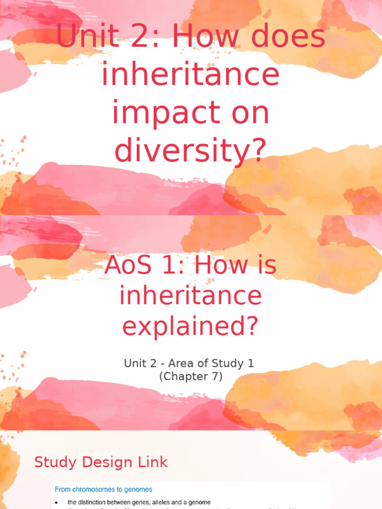 Unit 2 AOS 1 Genetics | PDF | Dominance (Genetics) | Meiosis