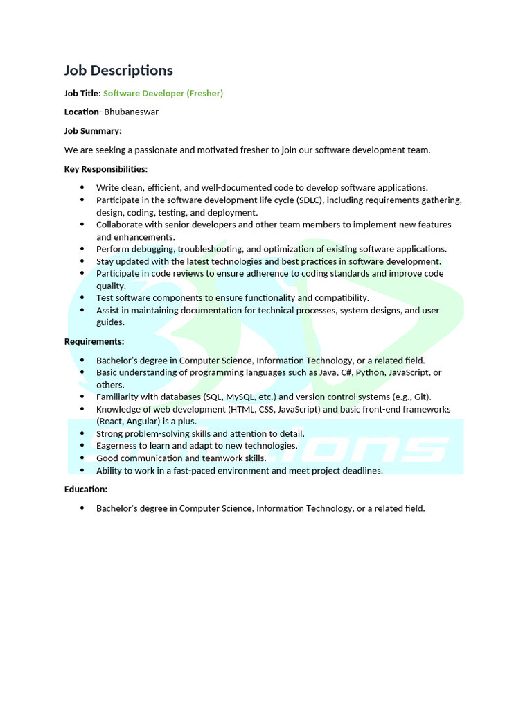 JD For Software Developer | PDF