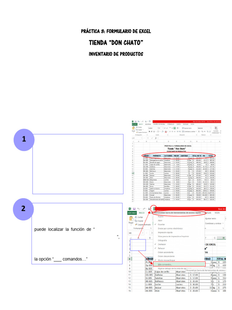 PRÁCTICA 3 FORMULARIO | PDF | Microsoft Excel | Información