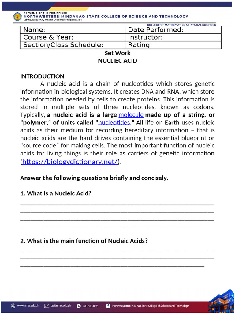 Setwork-Nucleic-Acid | PDF | Nucleic Acids | Dna
