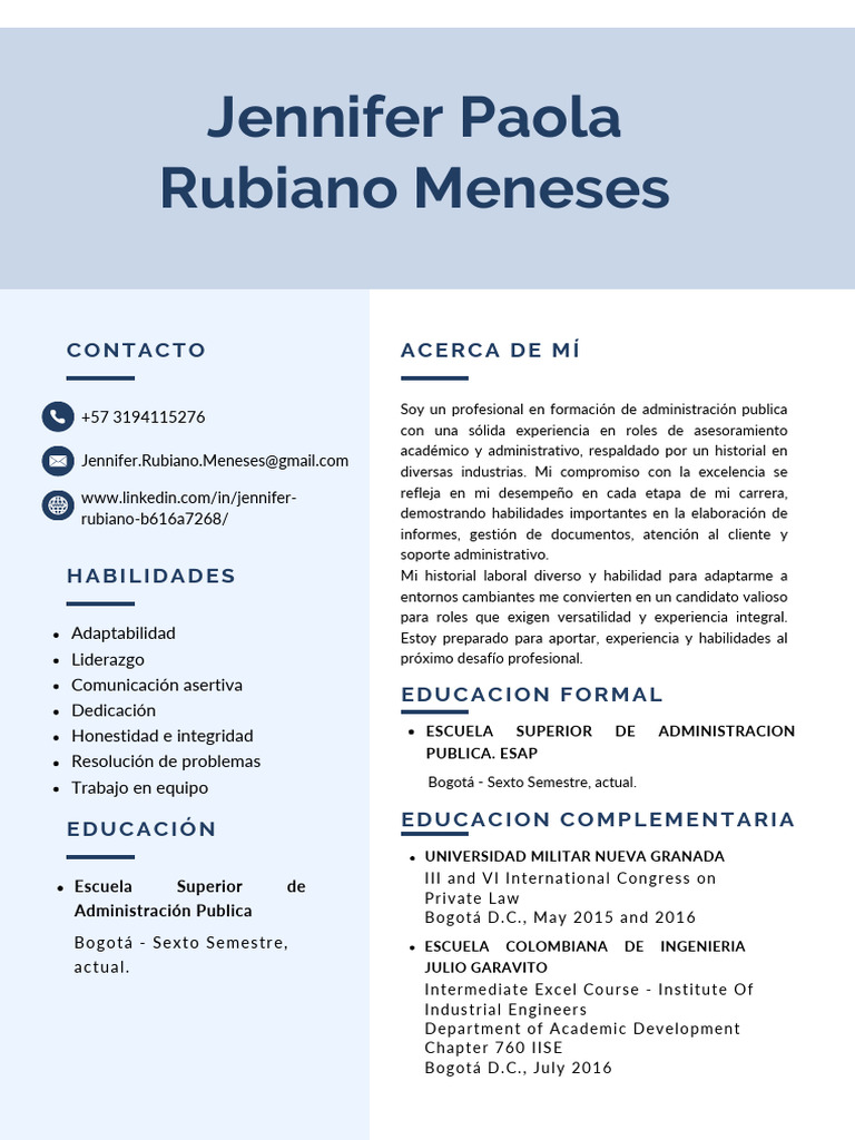 Perfil Profesional de Jennifer Rubiano | PDF | Business