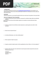APUSH DBQ Outline Template | PDF