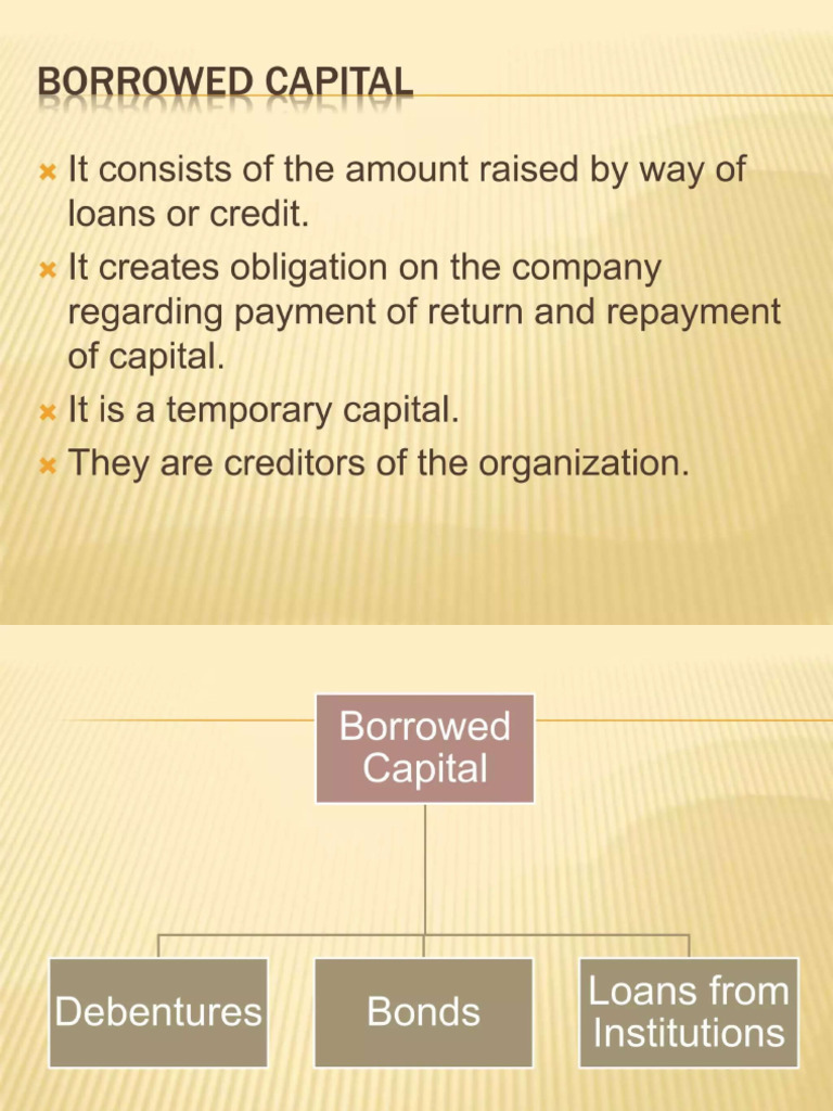 Barrowed Capital | PDF