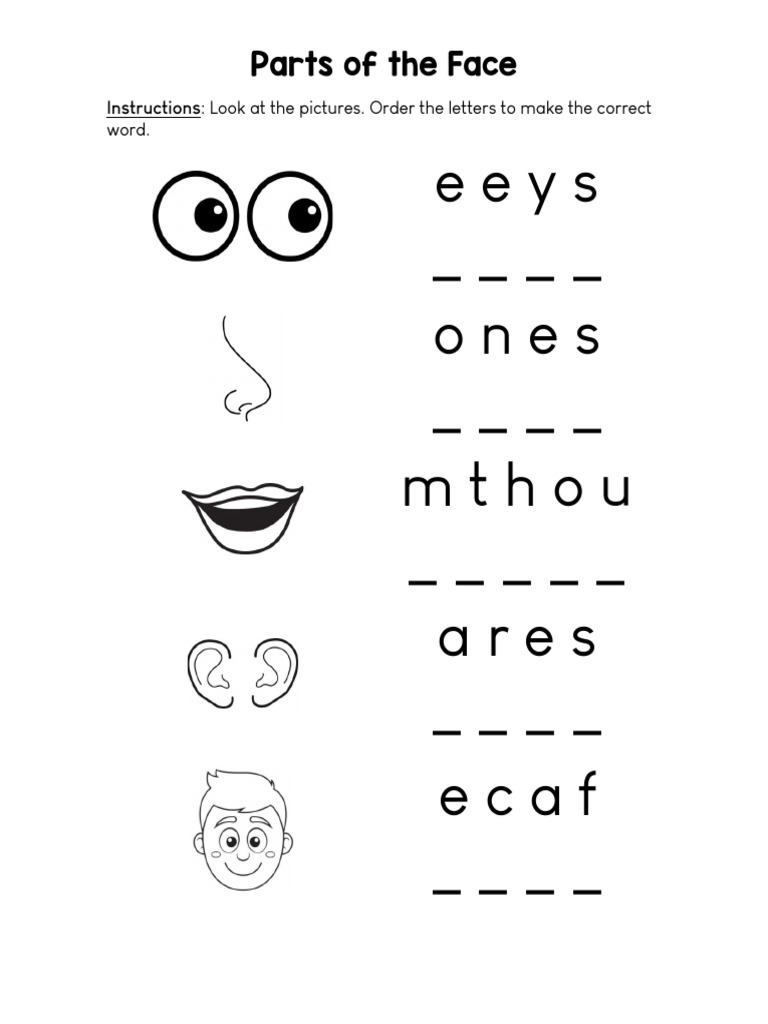 Parts of The Face | PDF