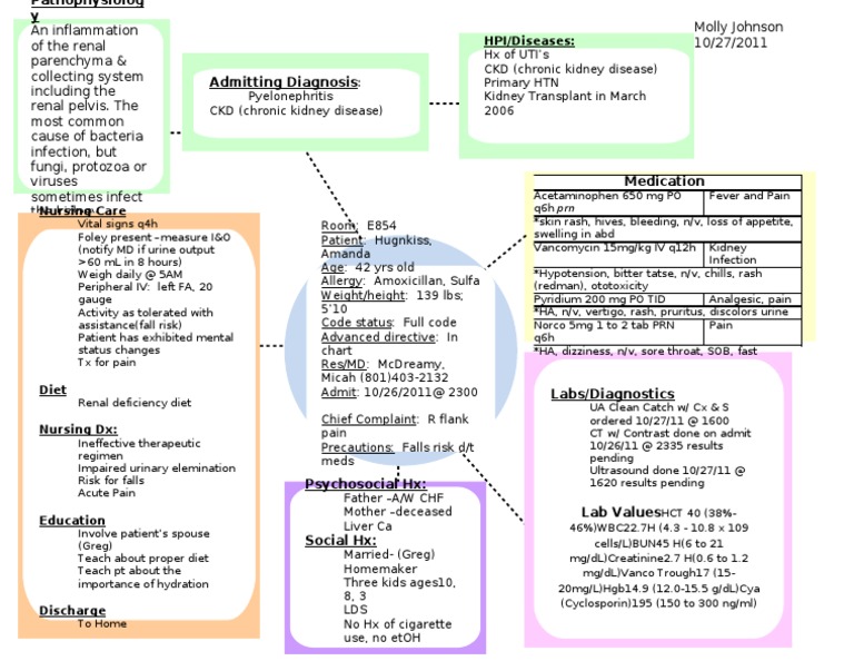Concept Map Pyelonephritis | PDF