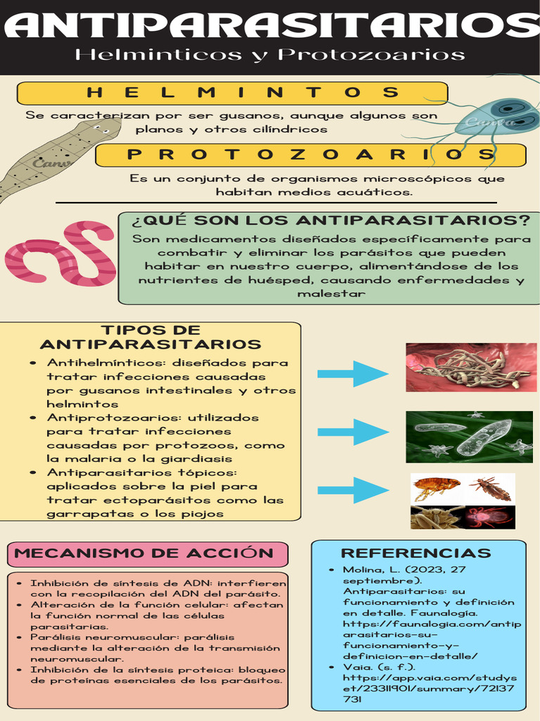 Antiparasitarios Infografia | PDF