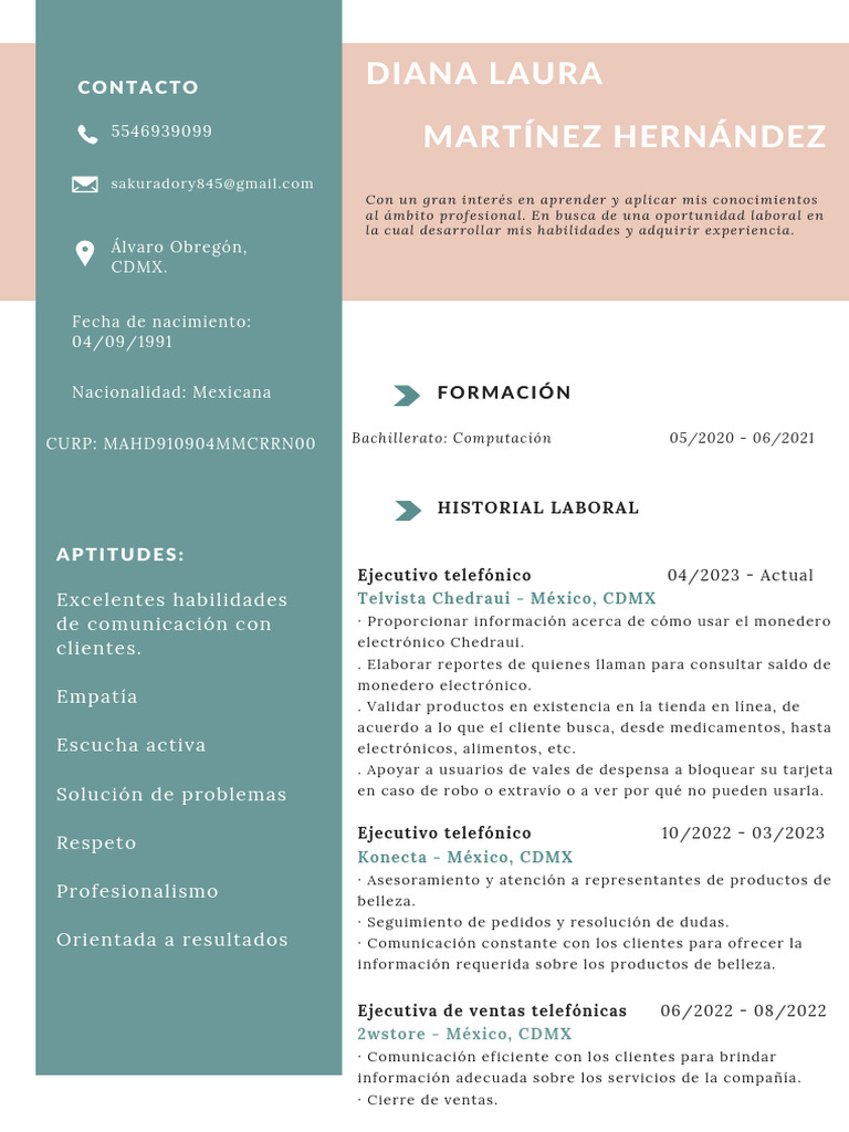 Currículum de Diana Laura Martínez | PDF | México | Informática
