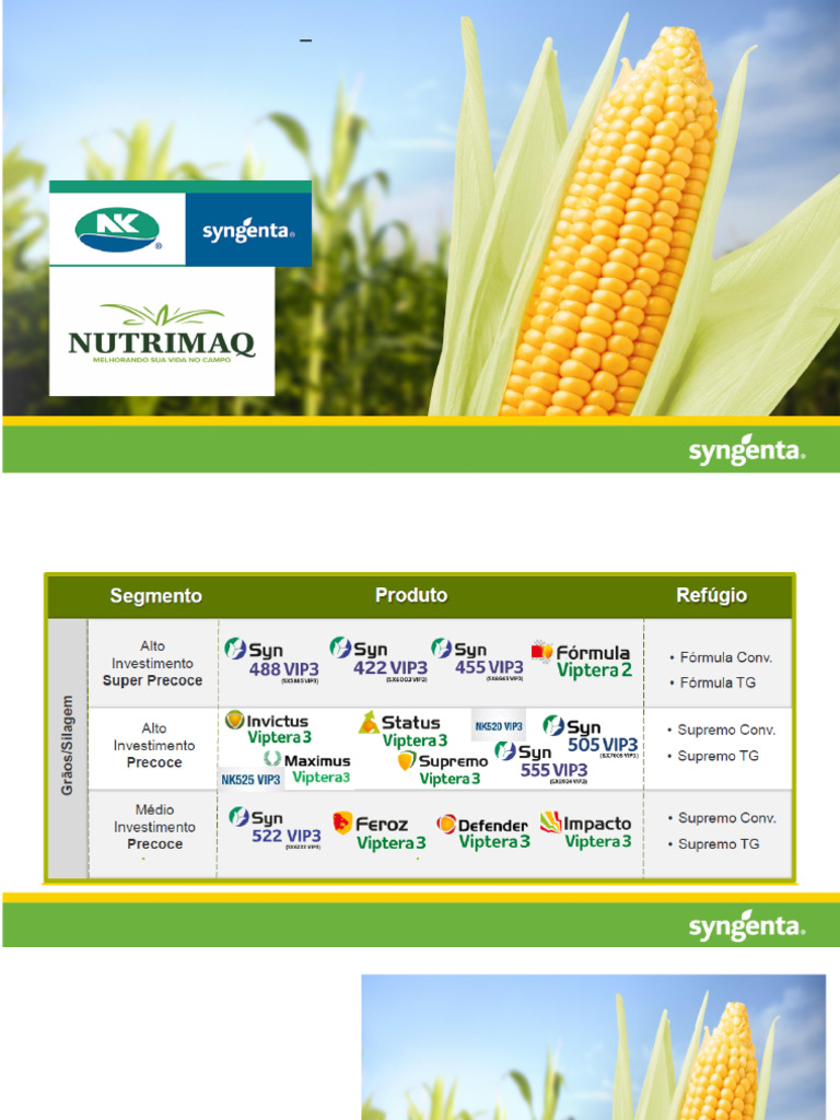Treinamento - Híbridos de Milho (Nutrimaq) PDF | PDF
