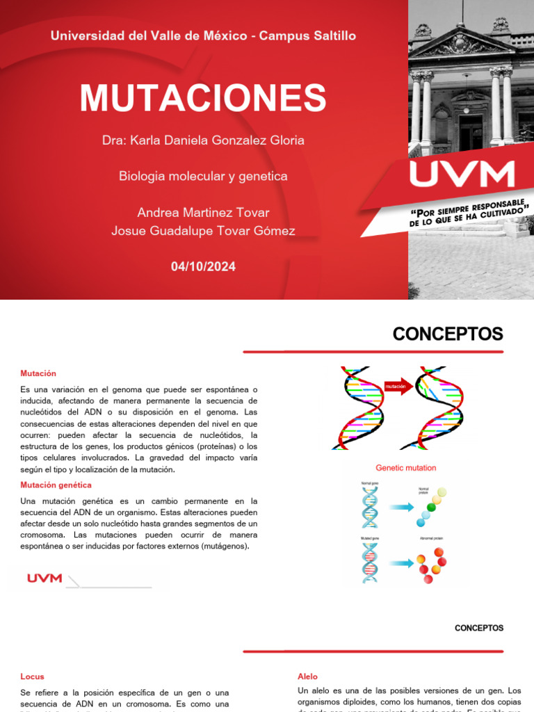 Mutaciones PDF | PDF | Mutación | Codigo genetico