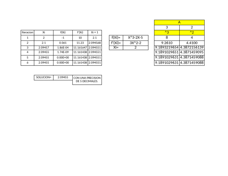 Metodo de Newton Rapson | PDF