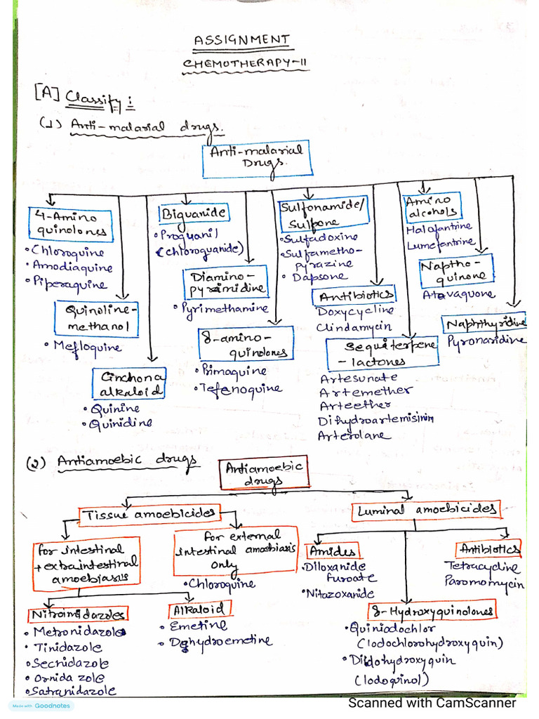 Chemotherapy 2 Assignment | PDF