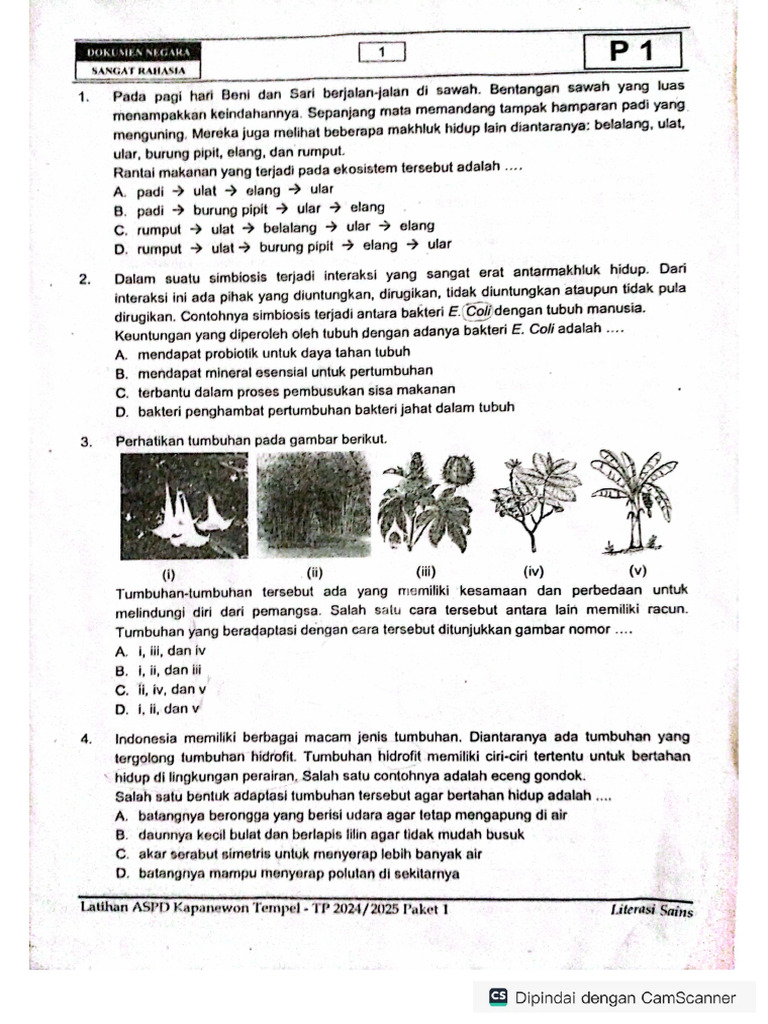 Soal TO1 Literasi Sains Kec Tempel - 090125 | PDF
