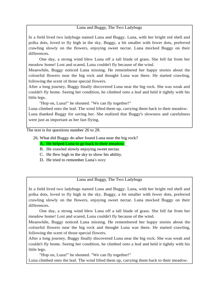 Luna and Buggy: A Ladybug Tale | PDF