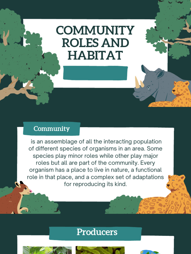 Ecology: Community and Habitat | PDF | Ecological Niche | Food Web