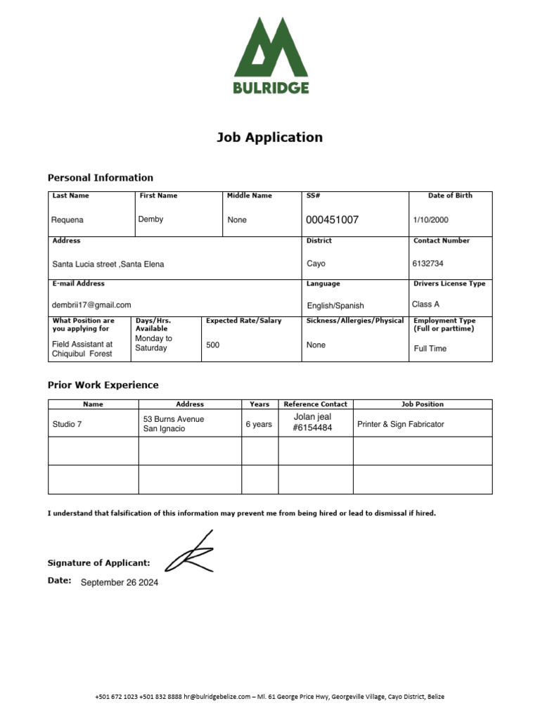 Job Application: Personal Information | PDF