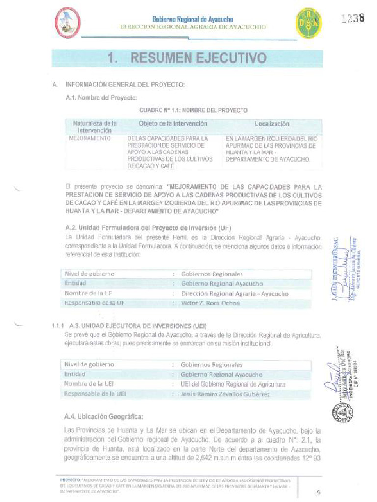 Resumen Ejecutivo Escan | PDF
