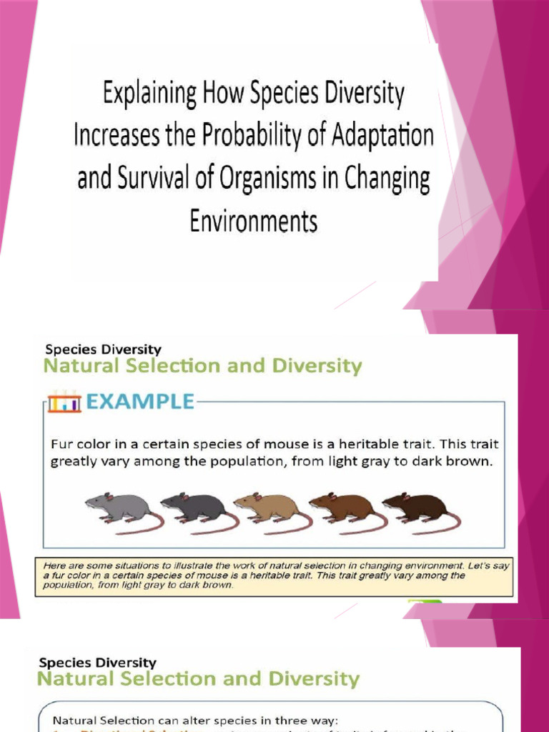 Explaining How Species Diversity Increases the Probability of Adaptation and Survival of ...