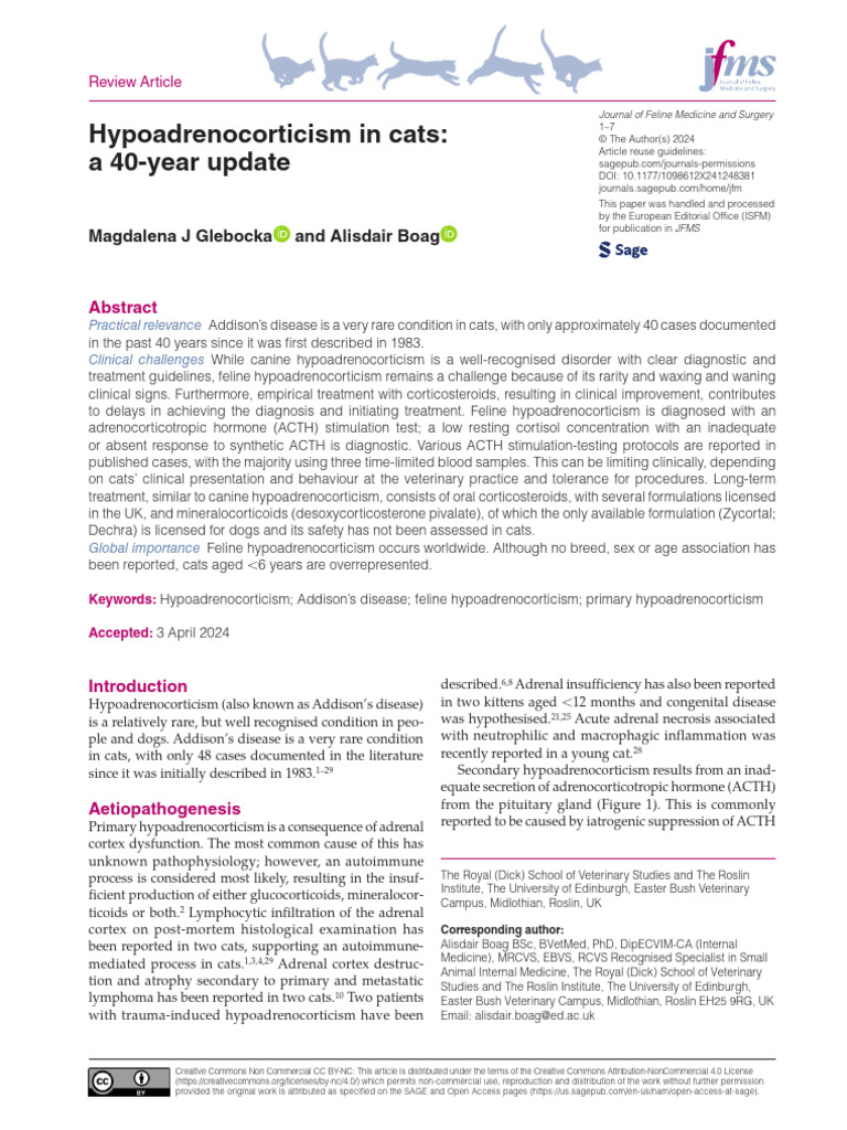 Hypoadrenocorticism in cats a 40 year update | PDF | Endocrine System | Endocrinology