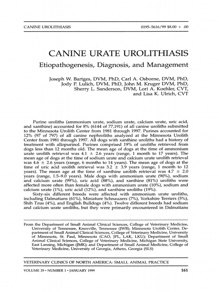 Canine Urate Urolithiasis | PDF | Urine