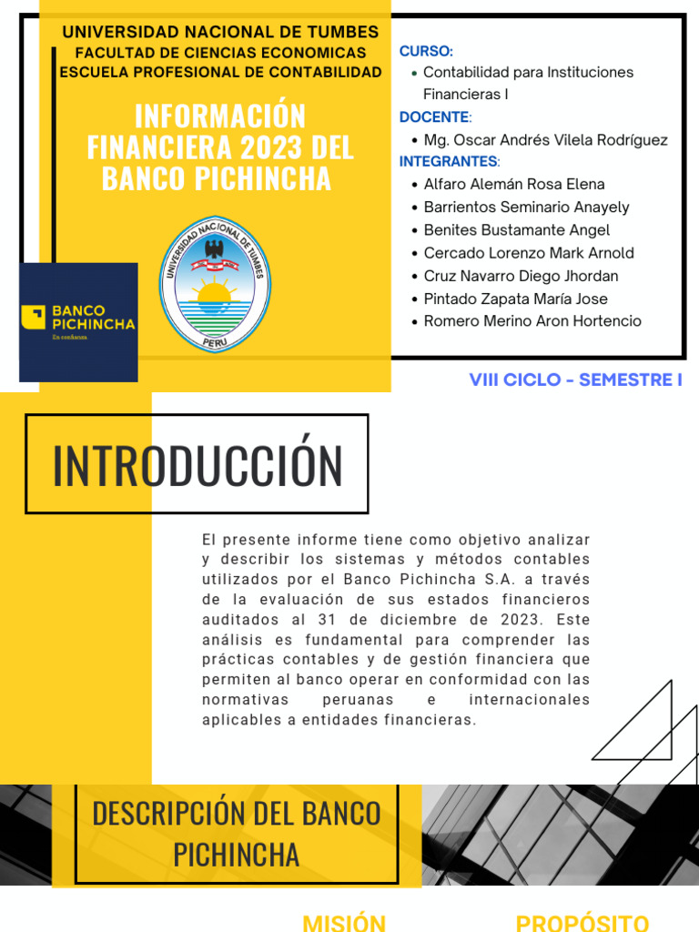 Banco Pichincha | PDF | Bancos | Contabilidad