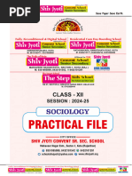 SOK Project Guidelines 2023-25 15.10.2023 | PDF | Citation | Essays