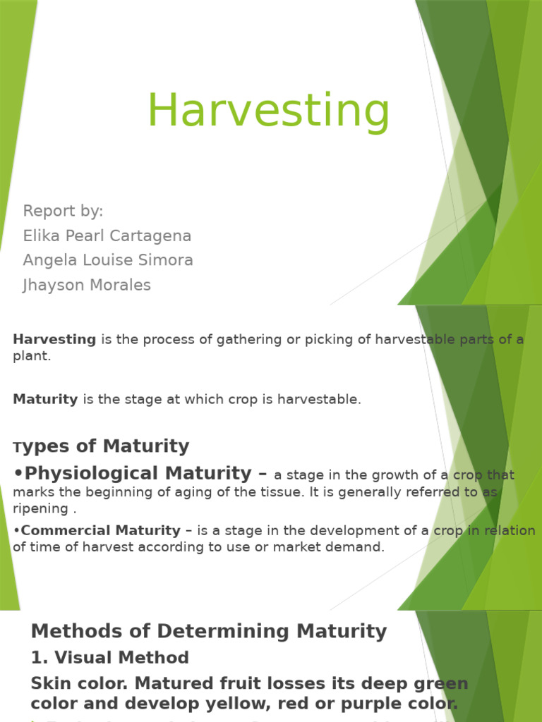 Presentation | PDF | Botany | Plants