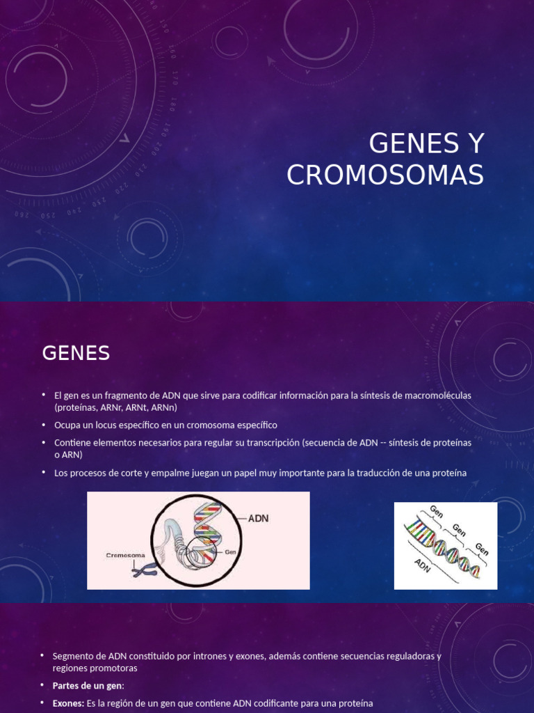 Genes y Cromosomas (1) | PDF