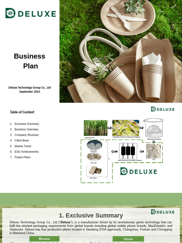 Business Plan Deluxe - 1011 | PDF | Economies
