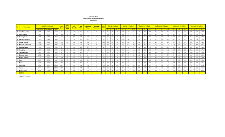 FORMAT DATA SASARAN 2025 | PDF