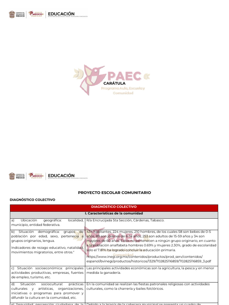 Formato Oficial para El Desarrollo Del Pec | PDF | Plan de estudios | Educación Secundaria