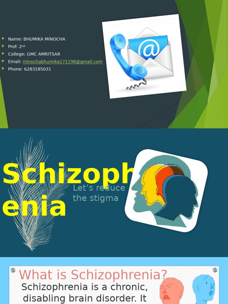 Understanding Schizophrenia | PDF
