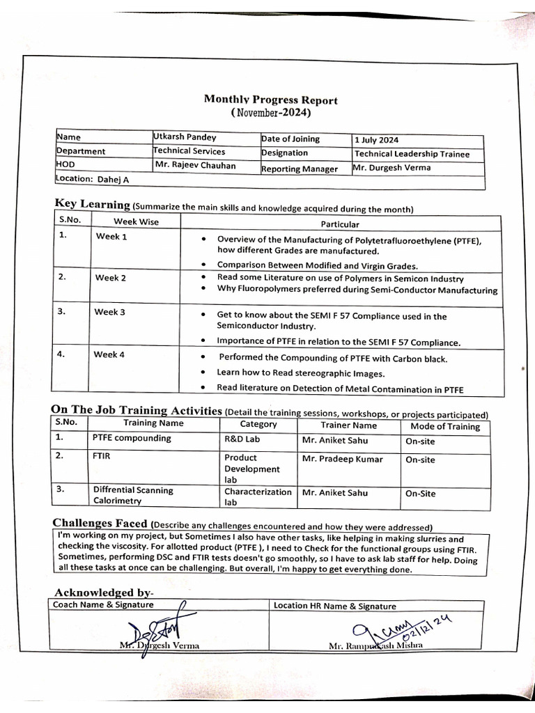 2nd Month Progress Report | PDF