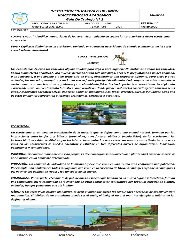 Guía sobre Ecosistemas para 5º Grado | PDF | Ecosistema | Habitat