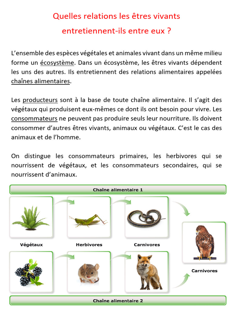 Quelles Relations Les Etres Vivants Entretiennent Ils Entre Eux | PDF