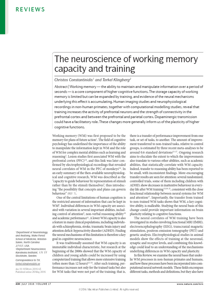 Neuriscinec of Working Memory | PDF | Working Memory | Prefrontal Cortex