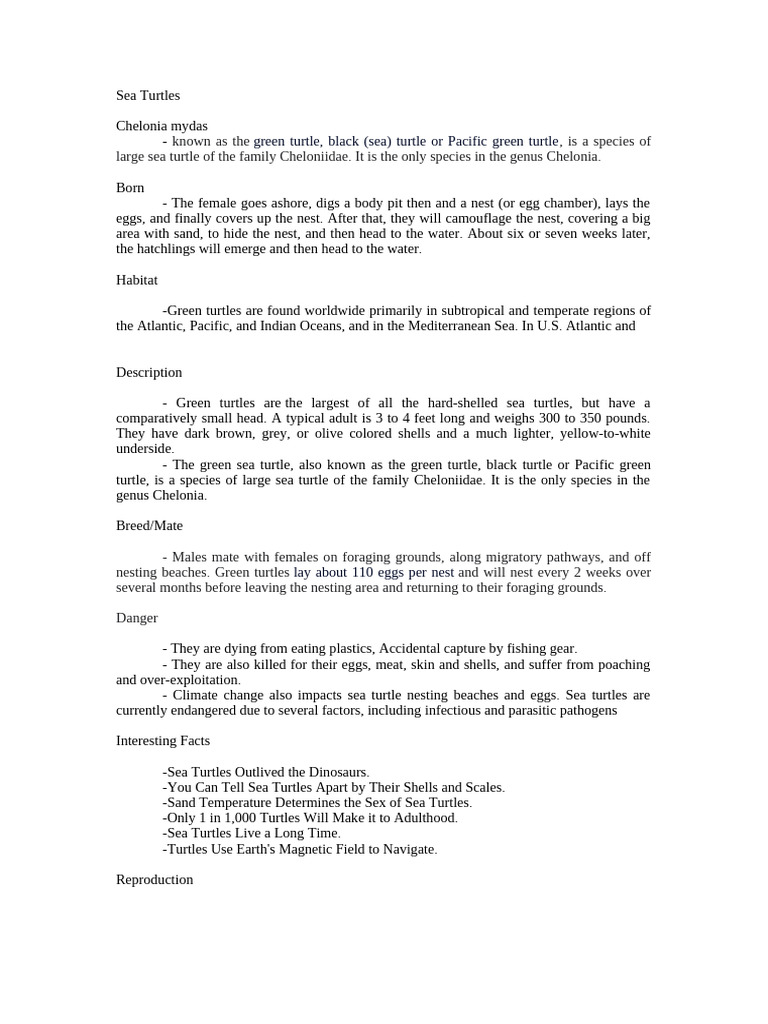 Sea-TurtlesHawkbill-Envi-Sci | PDF | Sea Turtle | Turtle