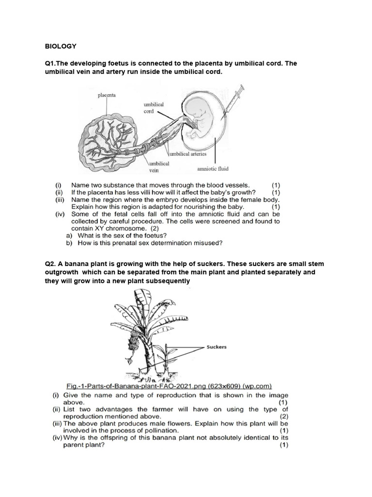 Biology: Foetal Development & Plant Growth | PDF