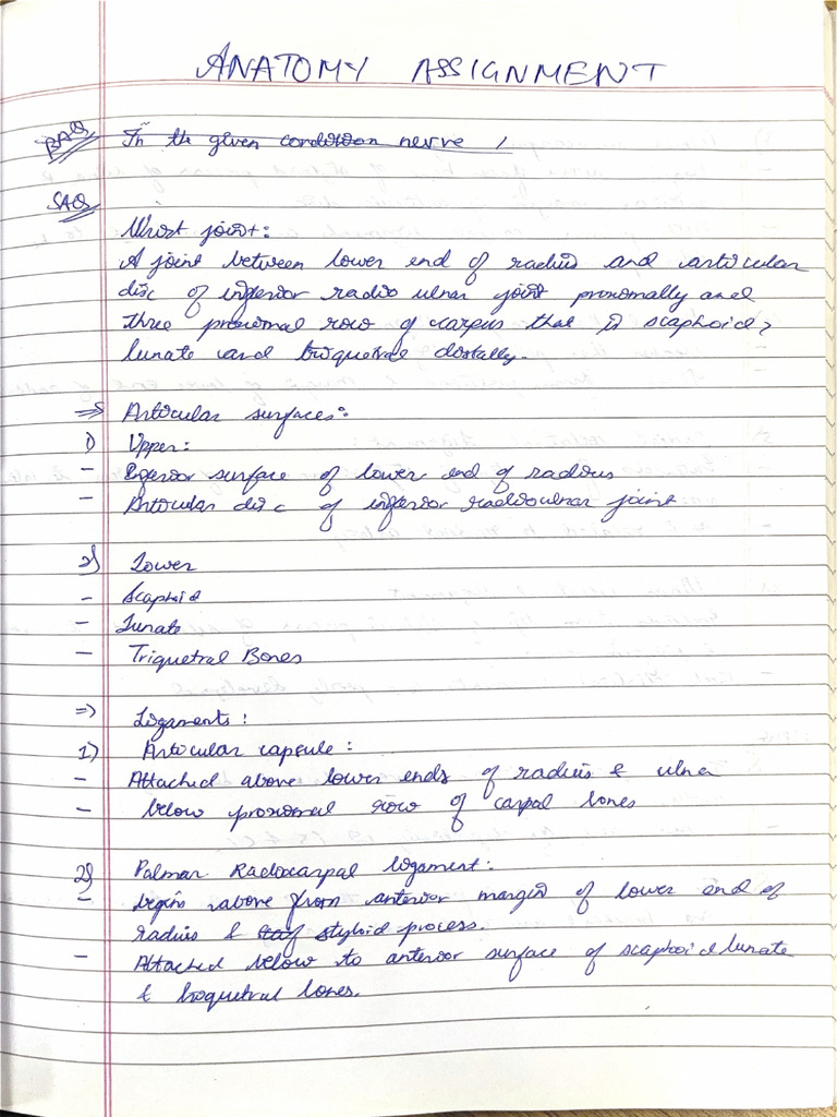 ANATOMY ASSIGNMENT | PDF