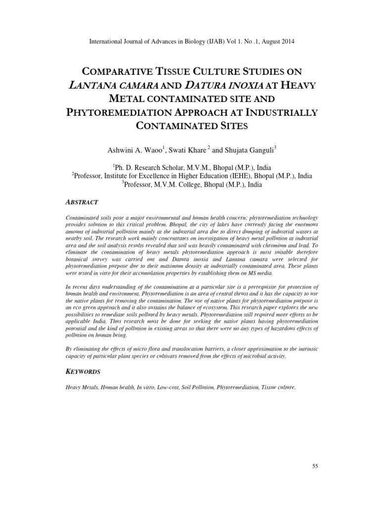 C T C S H M P A I C S: Antana Camara Atura Inoxia | PDF | Soil | Toxic Heavy Metal