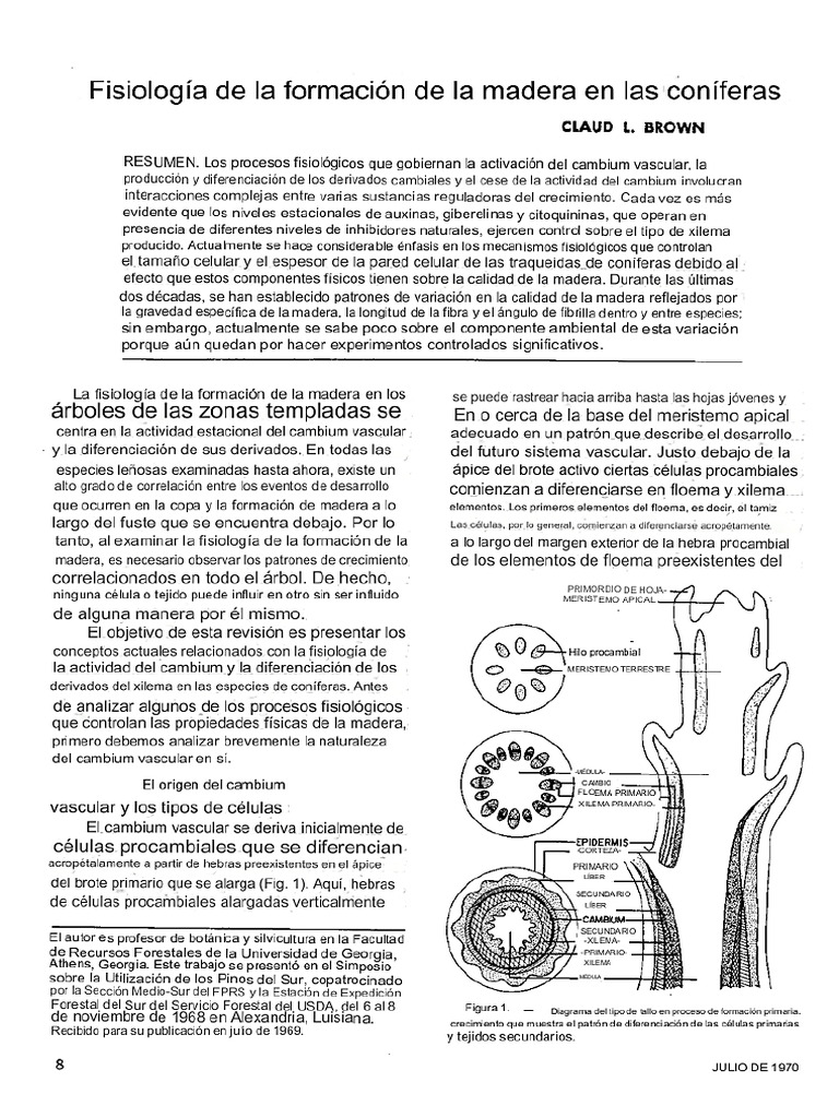 Claud L. Brown - Español | PDF
