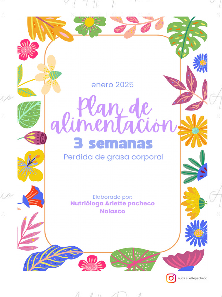 Plan Alimentacion | PDF | Alimentos | Cocinando