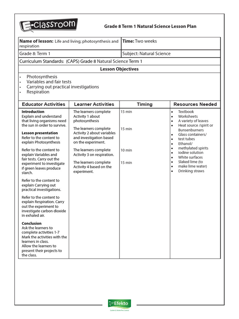 Grade 8 Natural Science: Photosynthesis & Respiration Lesson Plan | PDF ...