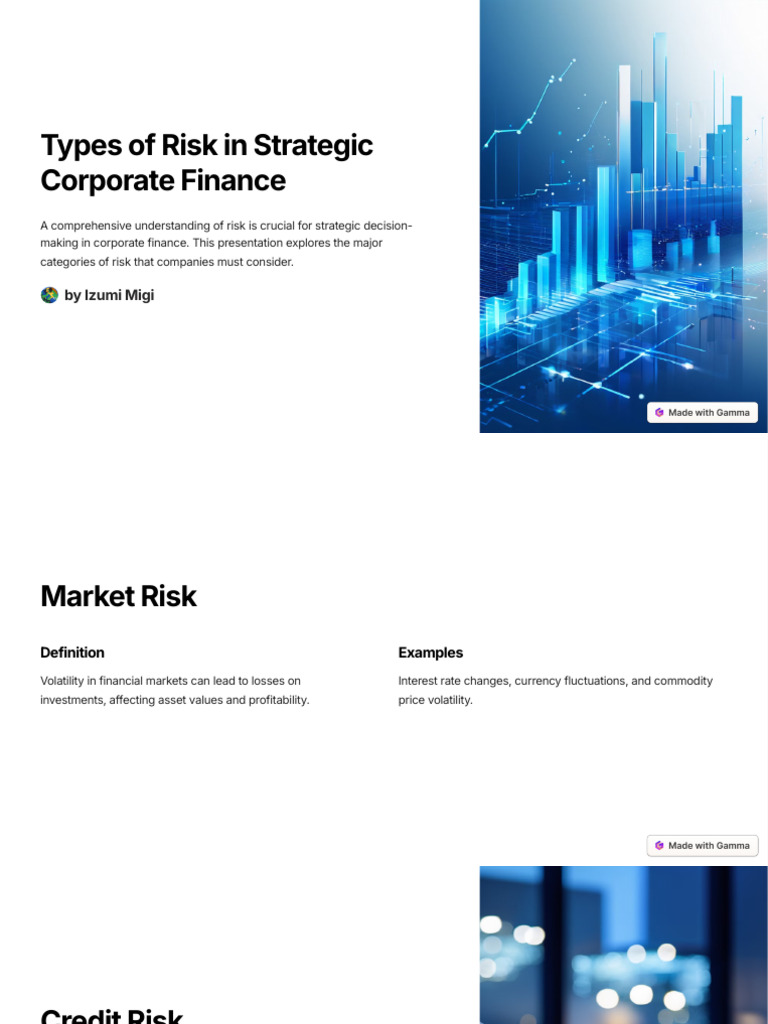 Types of Risk in Strategic Corporate Finance | PDF