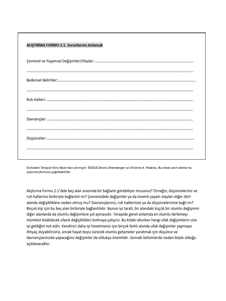 2 1 - Sorunlarimi-Anlamak | PDF