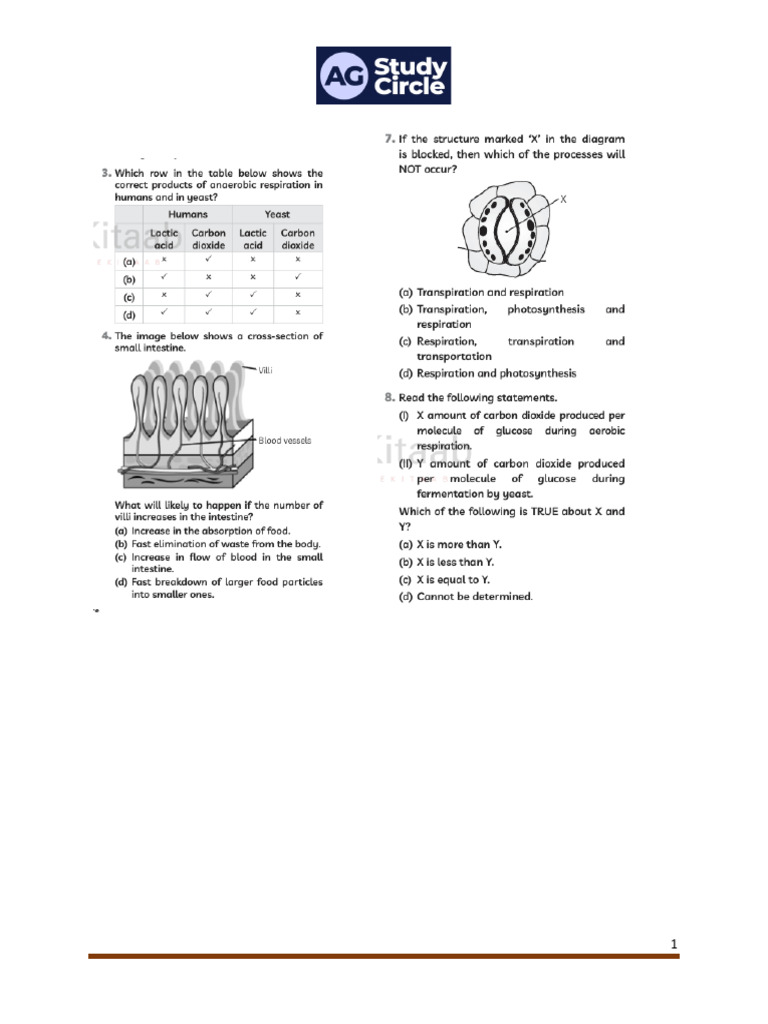 Gr10 Life Process AB | PDF