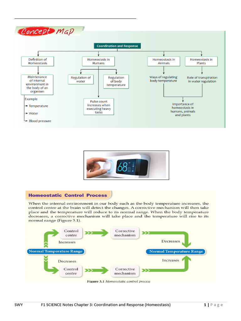 F1 Science Chapter 3 2024 | PDF | Homeostasis | Physiology