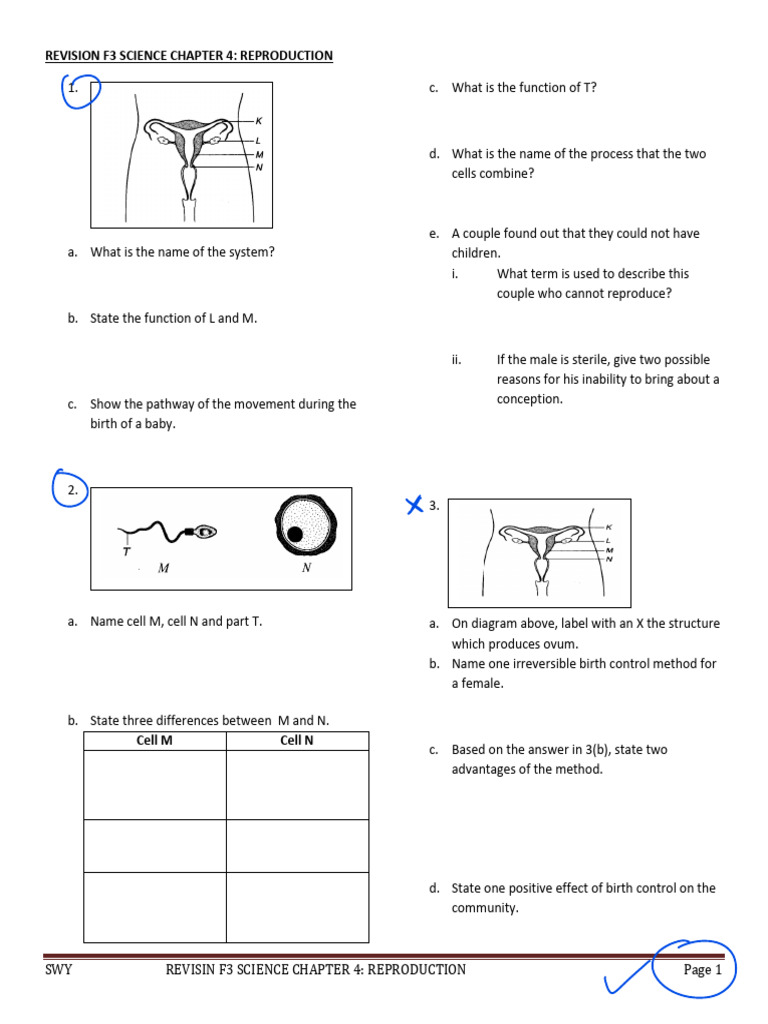 Revision F1 Science Chap 4 | PDF | Reproduction | Flowers