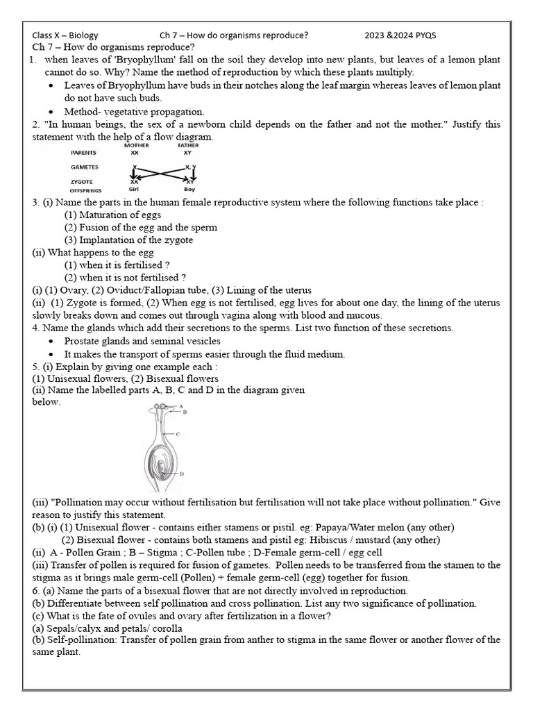 Class X Biology: Organism Reproduction Guide | PDF | Fertilisation ...